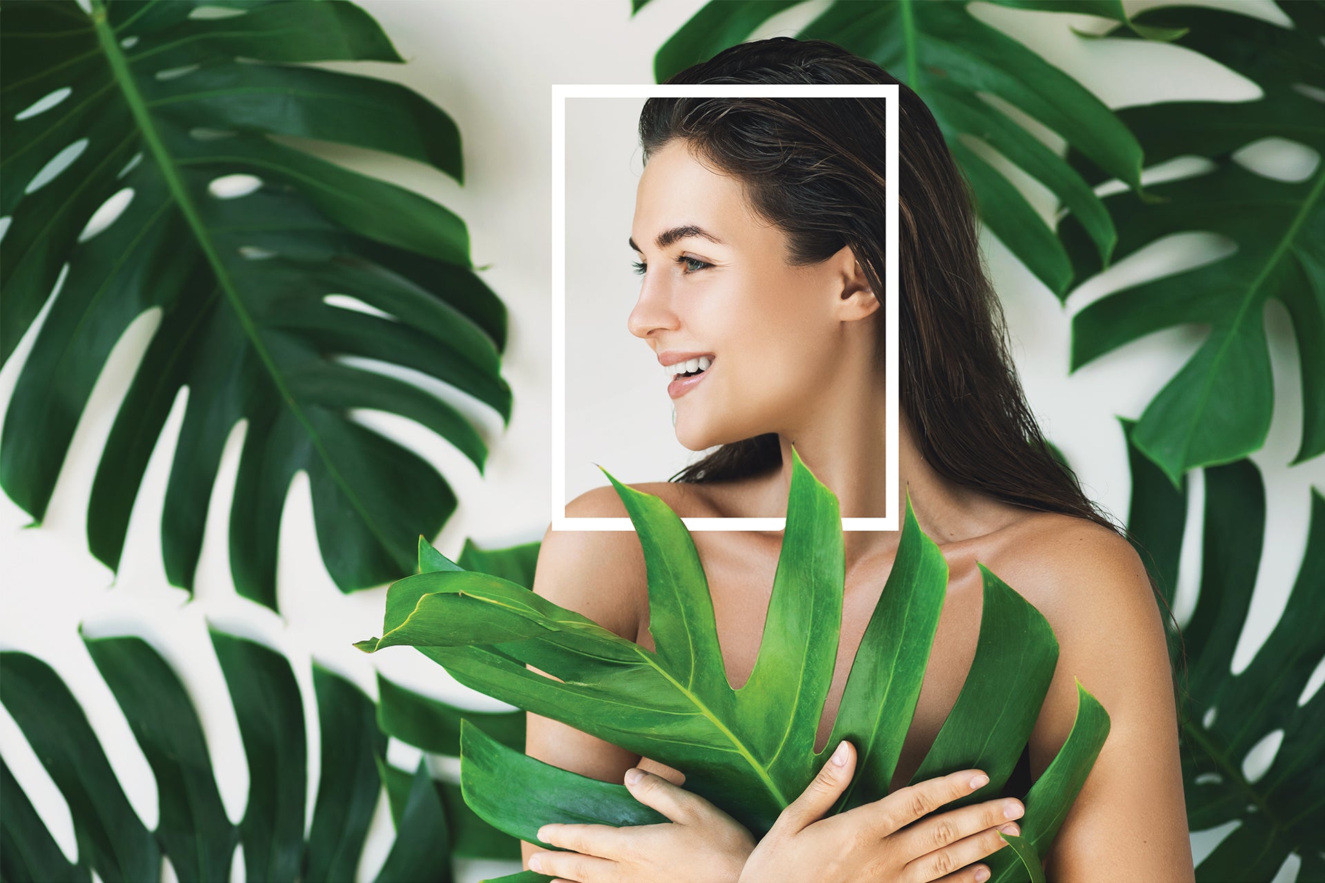 Unlocking the Timeless Power of Aloe Vera in Skincare